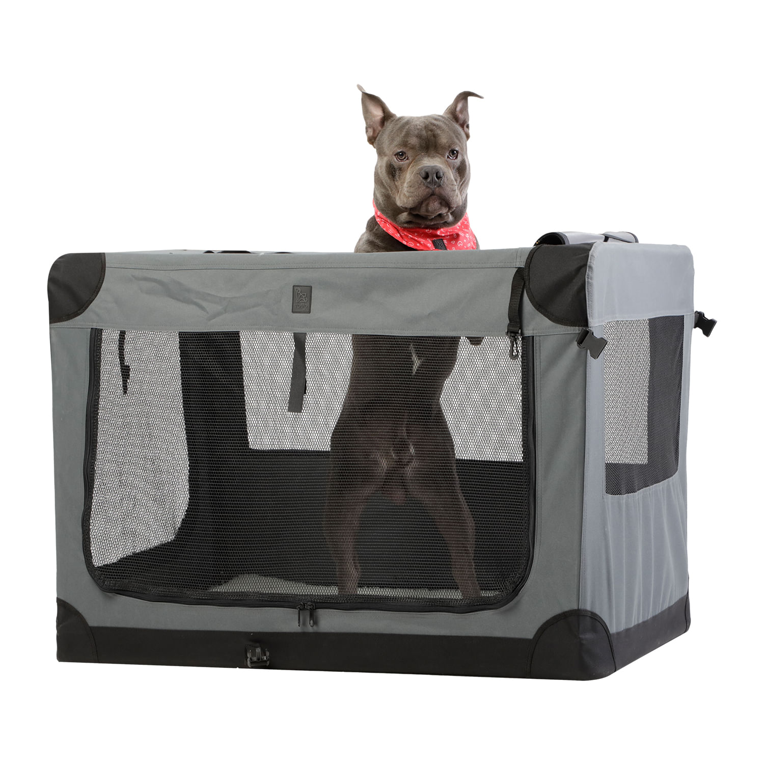 Guacal para Perro Pequeño Doggy S Gris