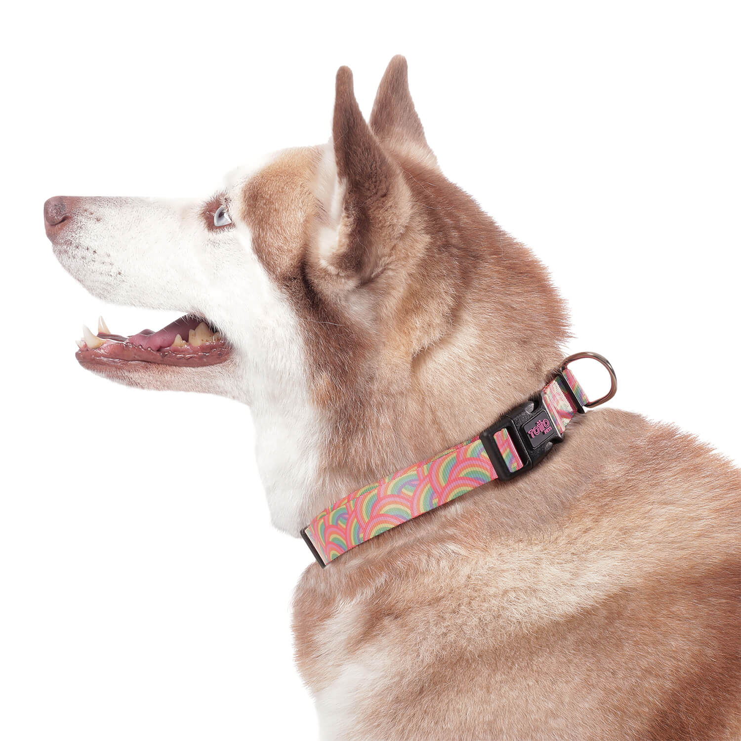 Collar para perro Mylu L Rosada