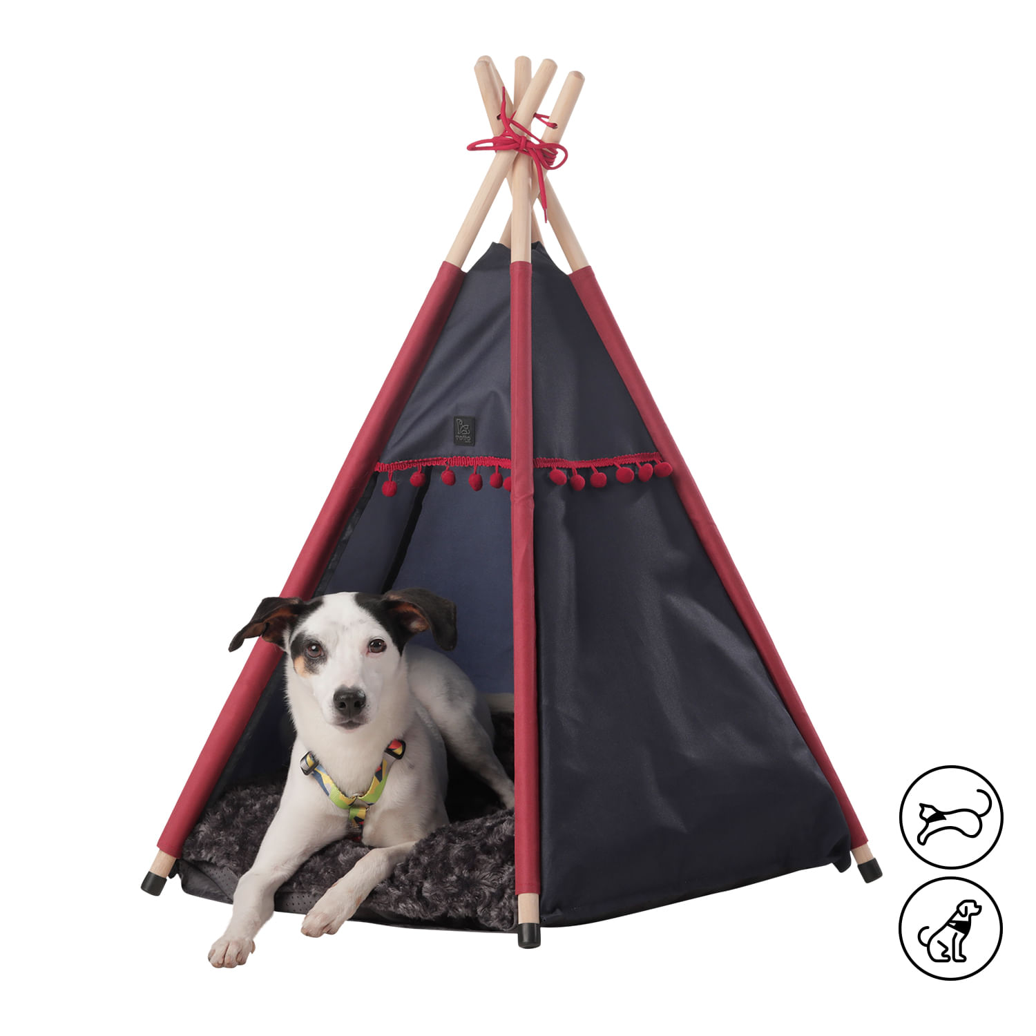 Teepee para mascota Charlie Azul