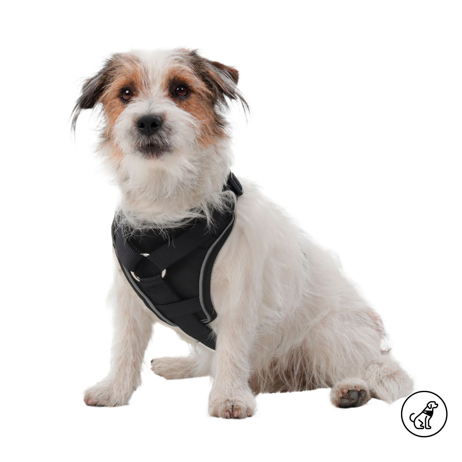 Arnés pechera para perro Taco S Negro