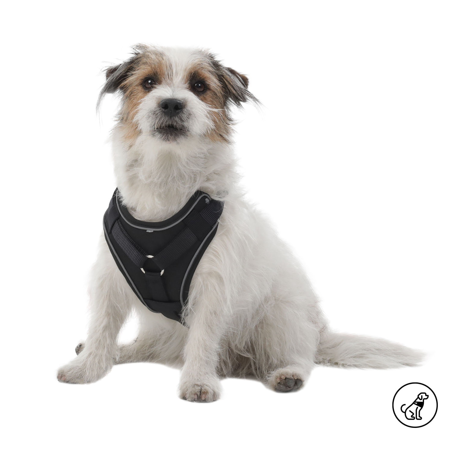 Arnés pechera para perro Taco M Negro