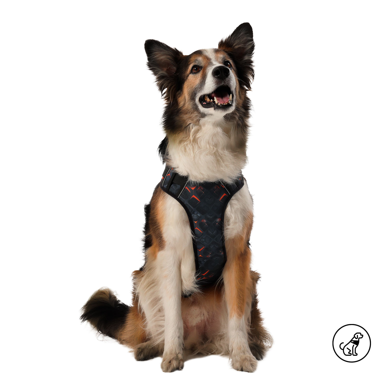 Pechera para Perro Draco L Grande Negra | Totto